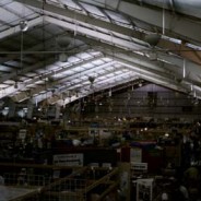 Photo Gallery | Raynham Flea Market – New England's Premier Flea Market