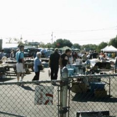 Photo Gallery | Raynham Flea Market – New England's Premier Flea Market